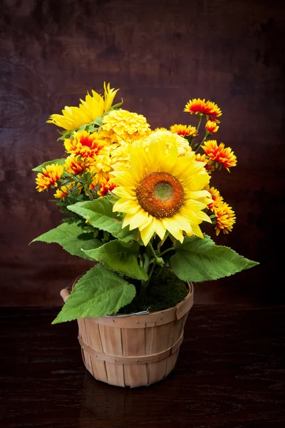 August Flowers Stock Photo by ©derek@hatfielddesign.com 46404887