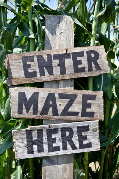 Corn maze Stock Photos, Royalty Free Corn maze Images | Depositphotos