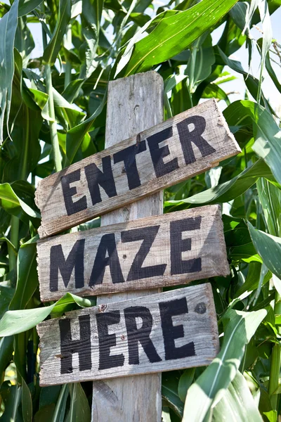Corn maze Stock Photos, Royalty Free Corn maze Images | Depositphotos