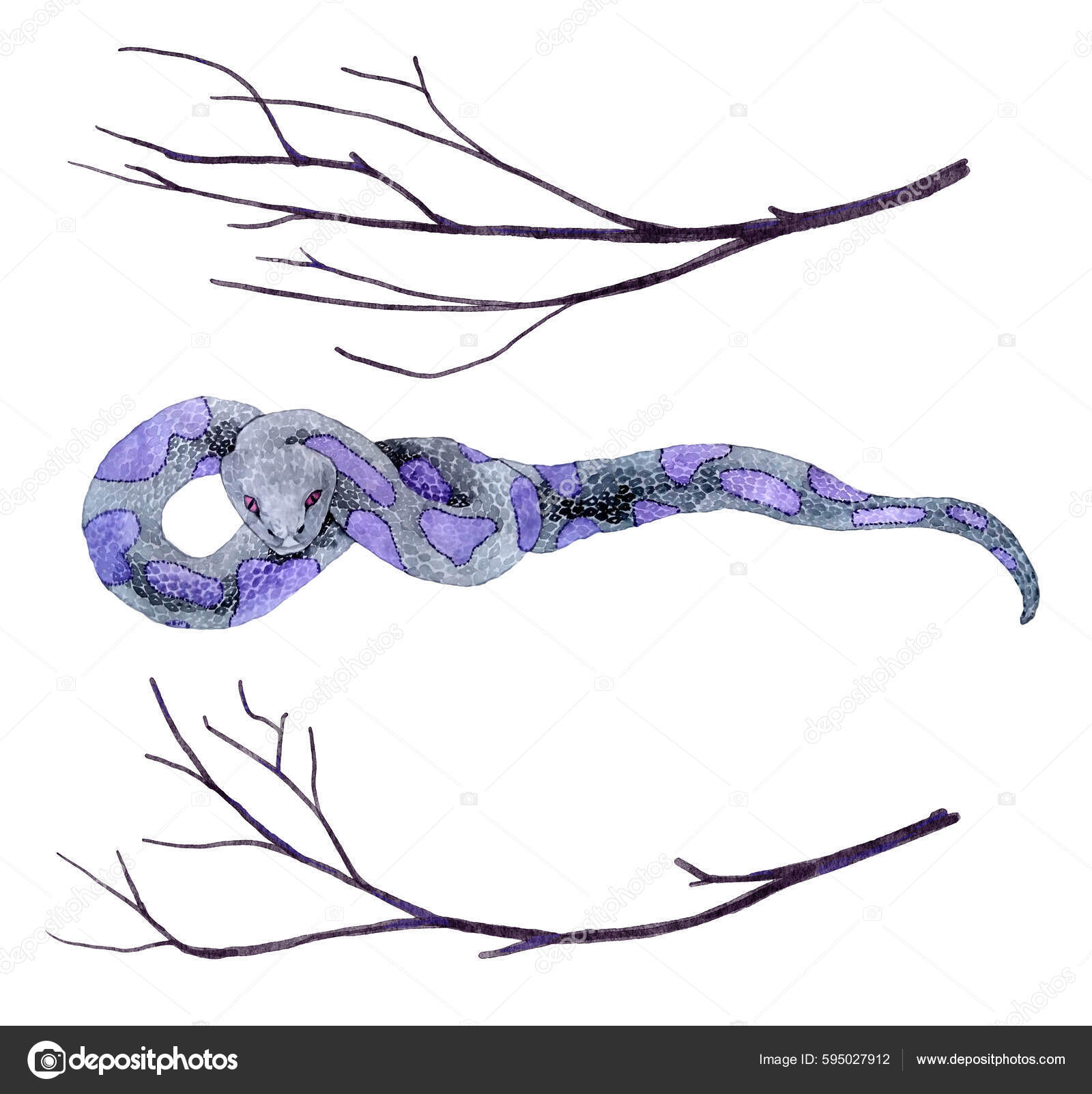 Purple Snake Tree