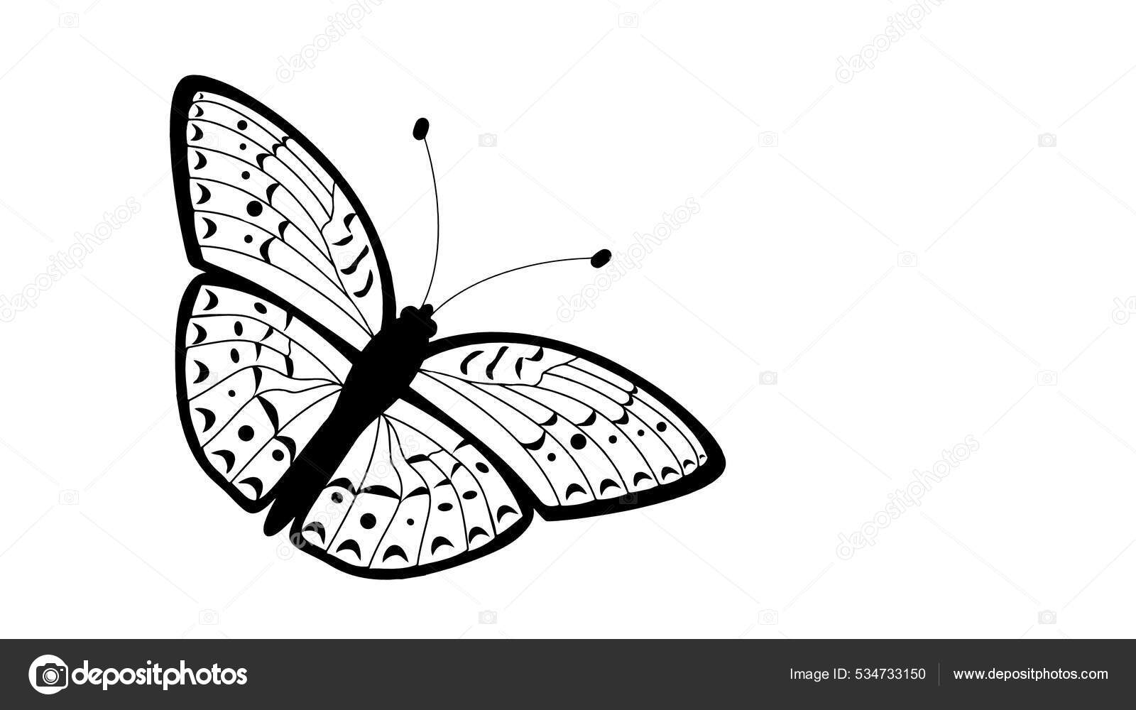 Drawings Butterflies White Background Illustrations Stock Illustration ...
