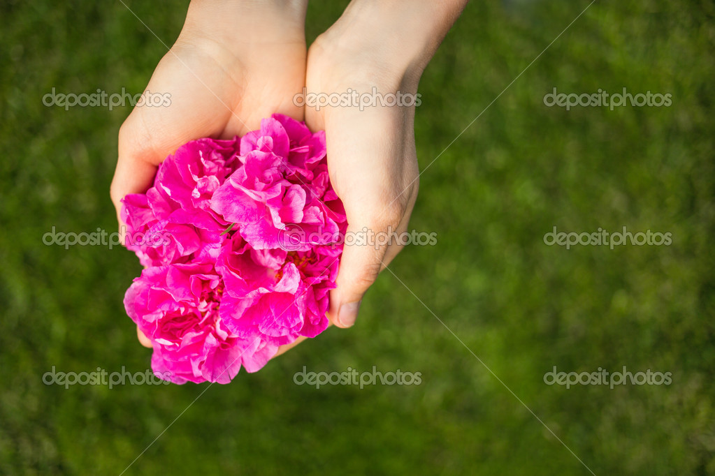 Hands with flowers Stock Photo by ©HappyCity 47130669