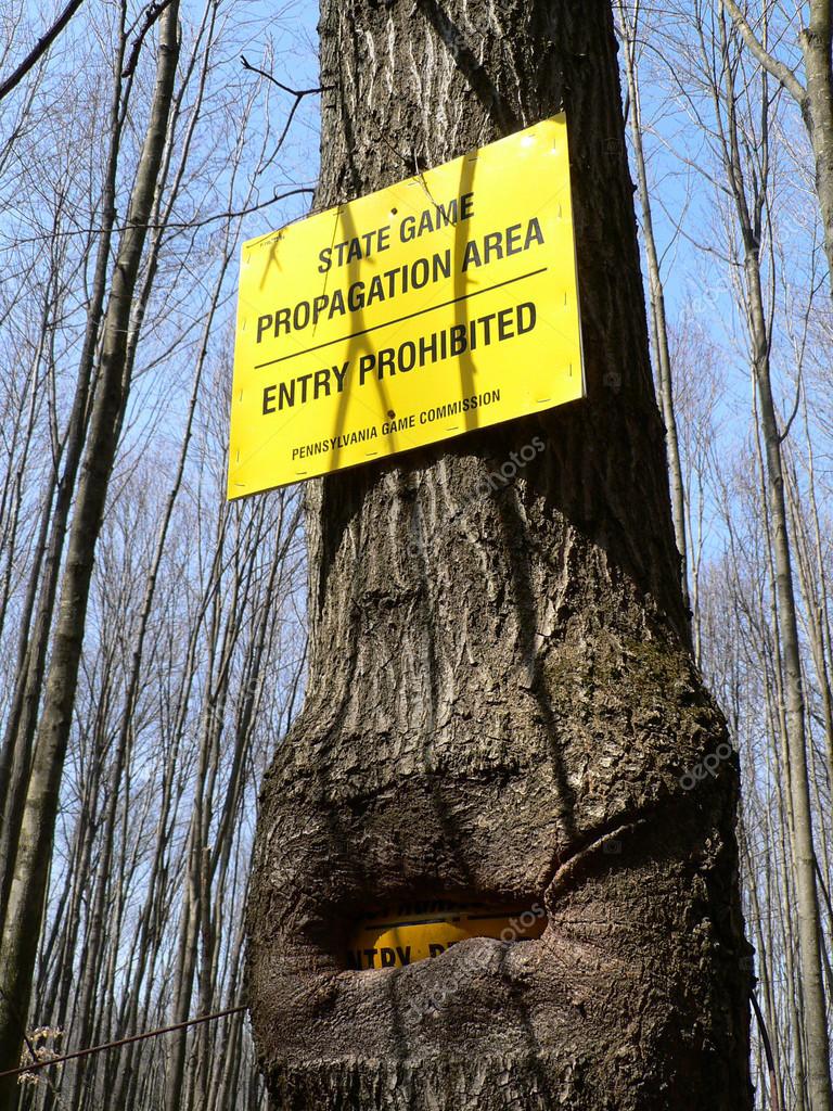 Overgrown sign 1 — Stock Photo © chiptape #41171627