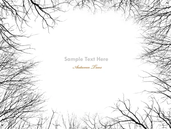 Silhouette tree Stock Photos & Royalty-Free Images | Depositphotos