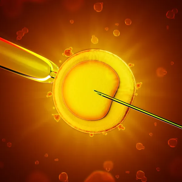 Artificial insemination — Stock Photo © Yurkoman #41459441 Artificial insemination — Stock Photo © Yurkoman #41459441