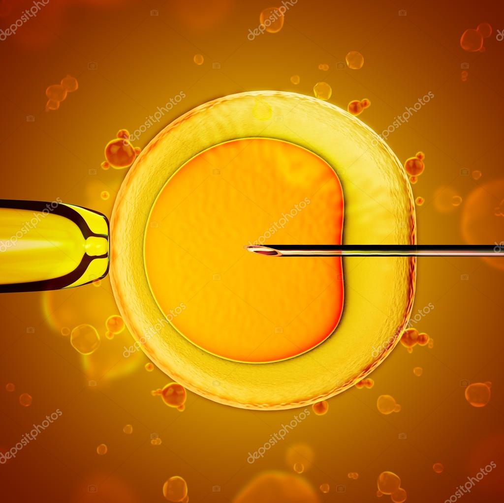 Artificial insemination Stock Photo by ©Yurkoman 41459347