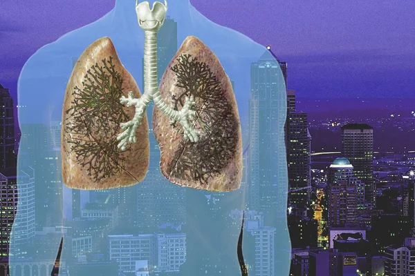 Pneumology Stock Photos, Royalty Free Pneumology Images | Depositphotos®