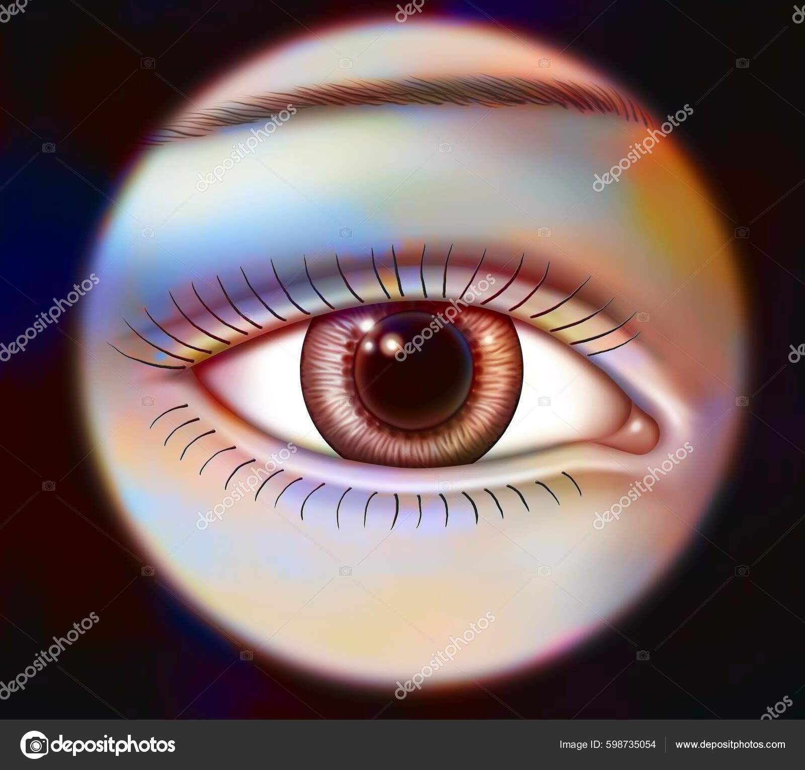 Mydriasis Normal Eye Dilated Pupil — Stock Photo © imagepointfr #598735054