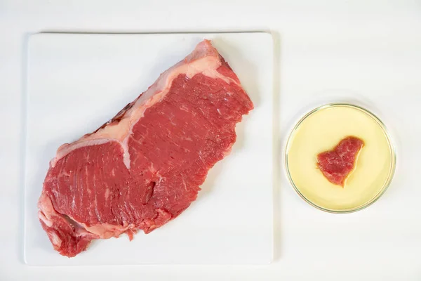 Laboratory Steak Obtained Stem Cells Front Computer Screens Medical ...