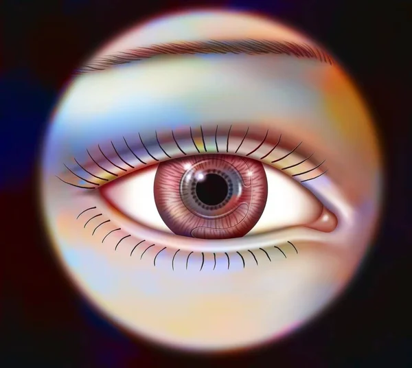 Anatomia oko fotos de stock, imágenes de Anatomia oko sin royalties ...