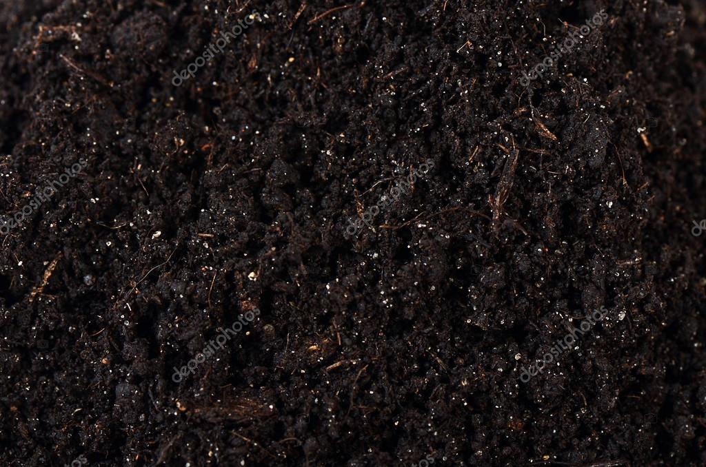 Black ground close up Stock Photo by ©sveta-yaroslavl@yandex.ru 42823139