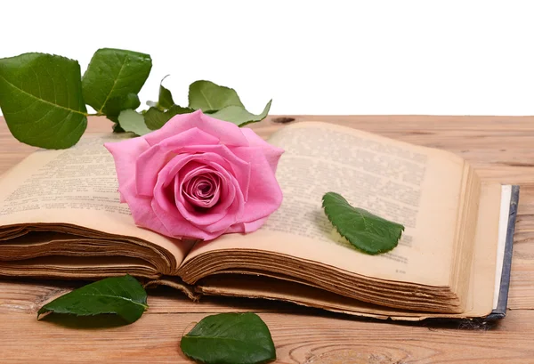 Libro y rosa fotos de stock, imágenes de Libro y rosa sin royalties ...