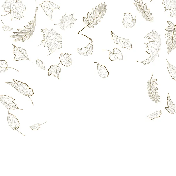 Fall leaf skeletons autumn design template. Stock Vector Image by ...