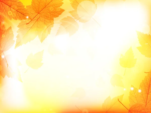 Autumn design background with leaves Stock Vector Image by ©Glush2502 ...