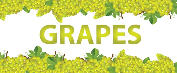 100,000 Green grapes Vector Images | Depositphotos