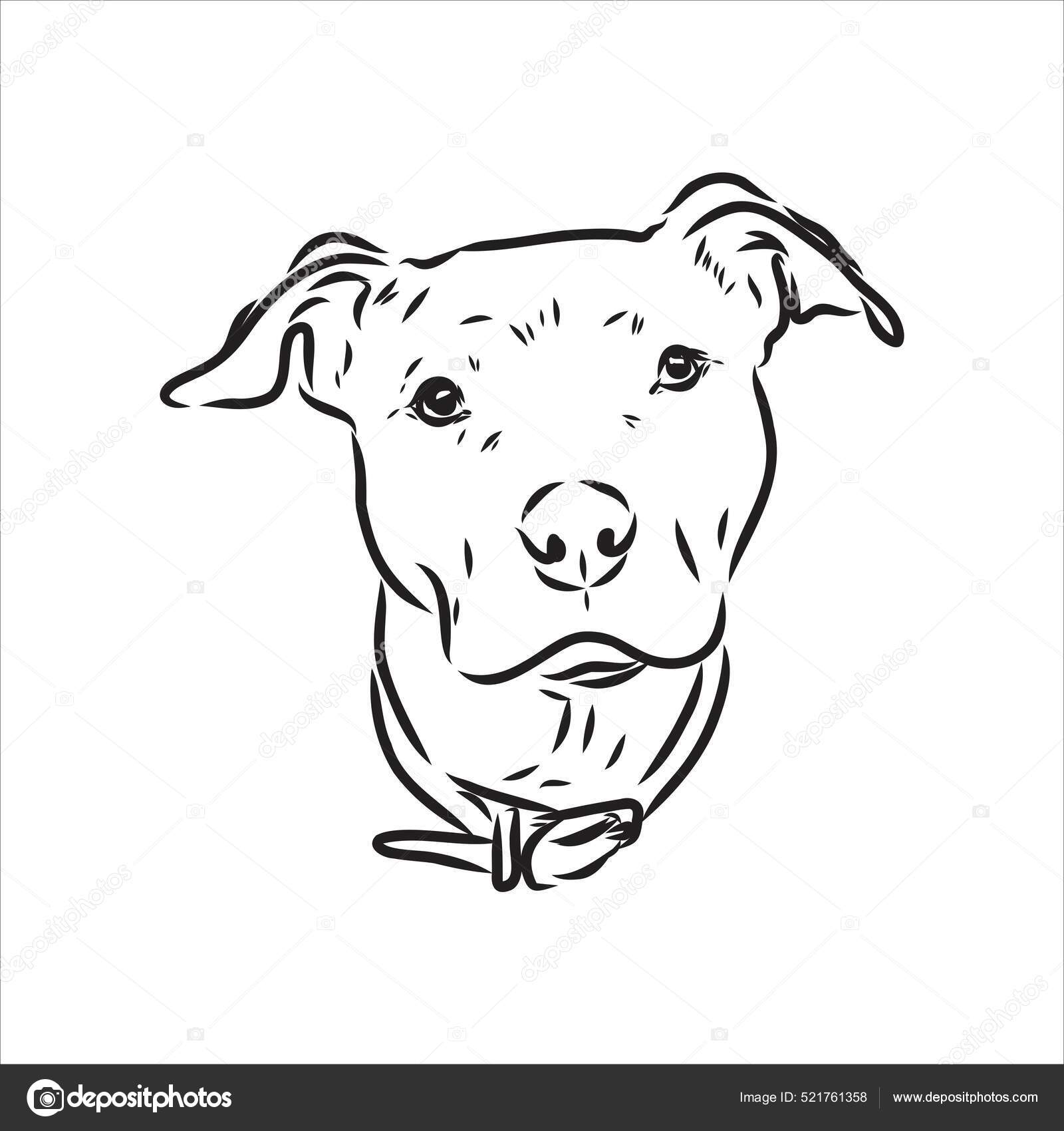 Desenho de esboço vetorial pitbull latindo pit bull terrier cão vetor🌝 ... Desenho de esboço vetorial pitbull latindo pit bull terrier cão vetor🌝 ...