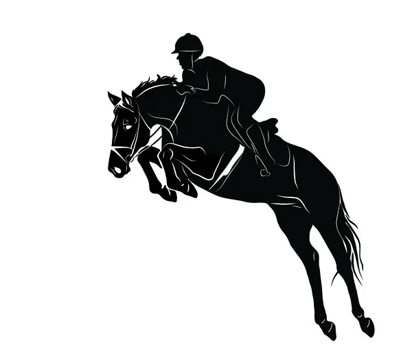 Vecteurs pour Horse show jumping, Illustrations libres de droits pour ...