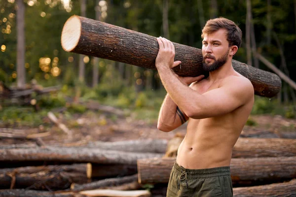Handsome lumberjack Stock Photos, Royalty Free Handsome lumberjack ...