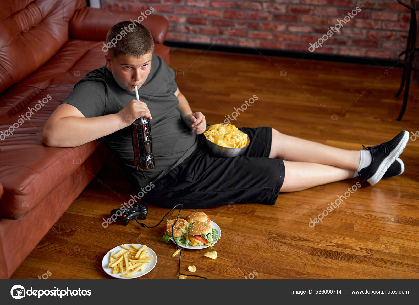 Obese Child Playing Video Games