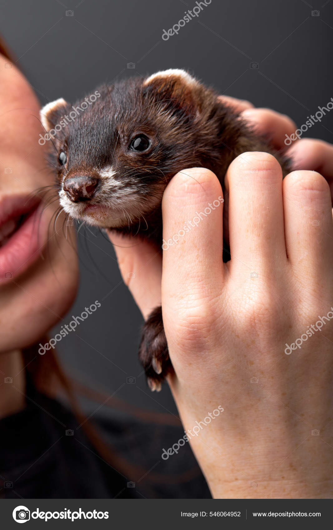 Sensual young woman hugging holding pet ferret in hand. Woman and pet ...