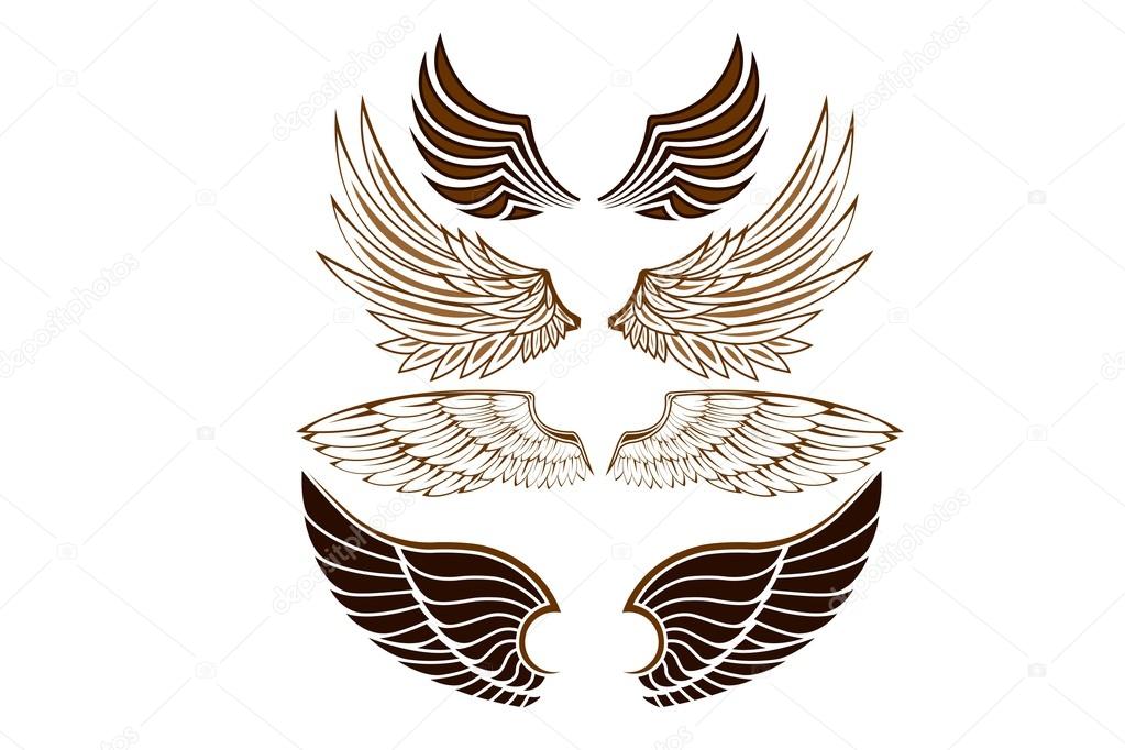 Wing set vector Stock Vector Image by ©ukix21@yahoo.com #42366831