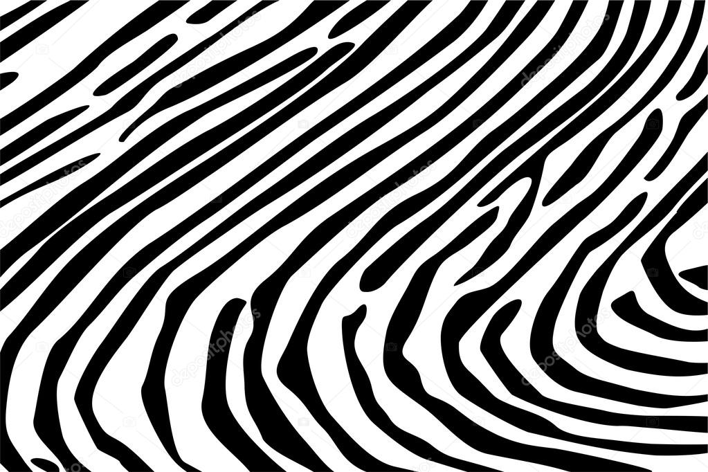 Zebra Texture Background Stock Vector by ©ukix21@yahoo.com 46112669