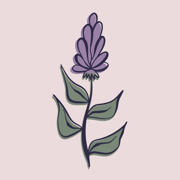 Levandule kresba Stock vektory, Royalty Free Levandule kresba Ilustrace ...