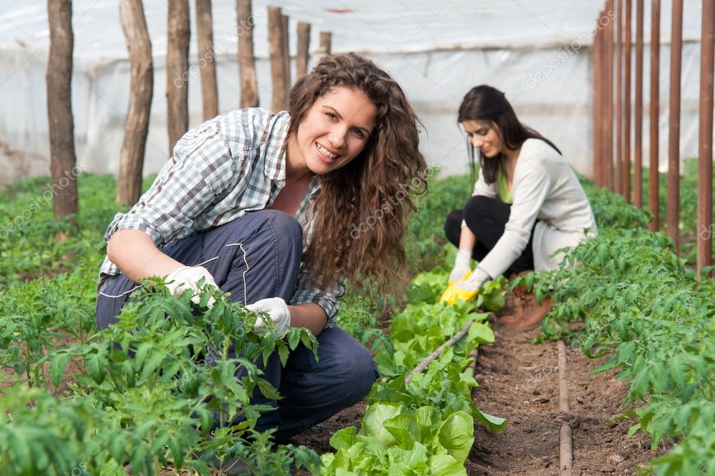 Two female plantation workers Stock Photo by ©vladteodor95 43137667