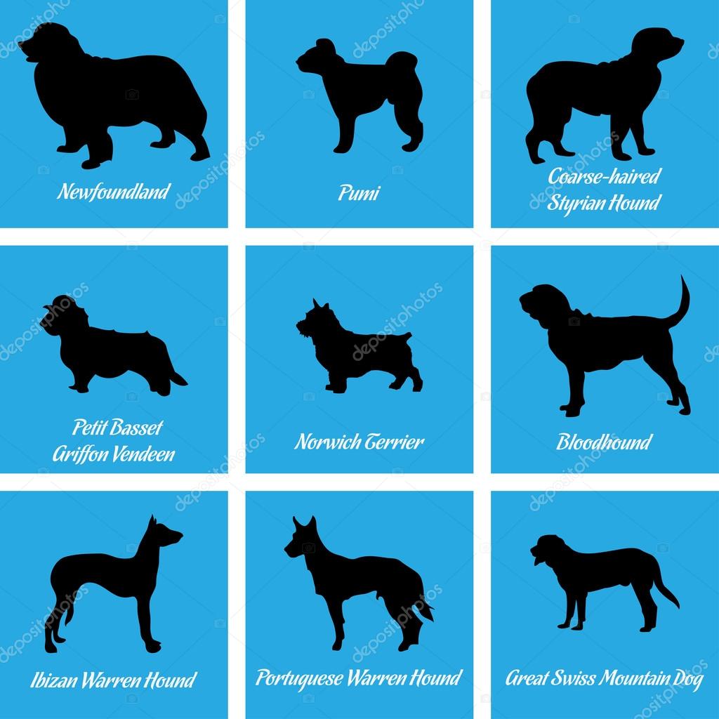 Iconos de perros Vector de stock #44287945 de ©kubanek