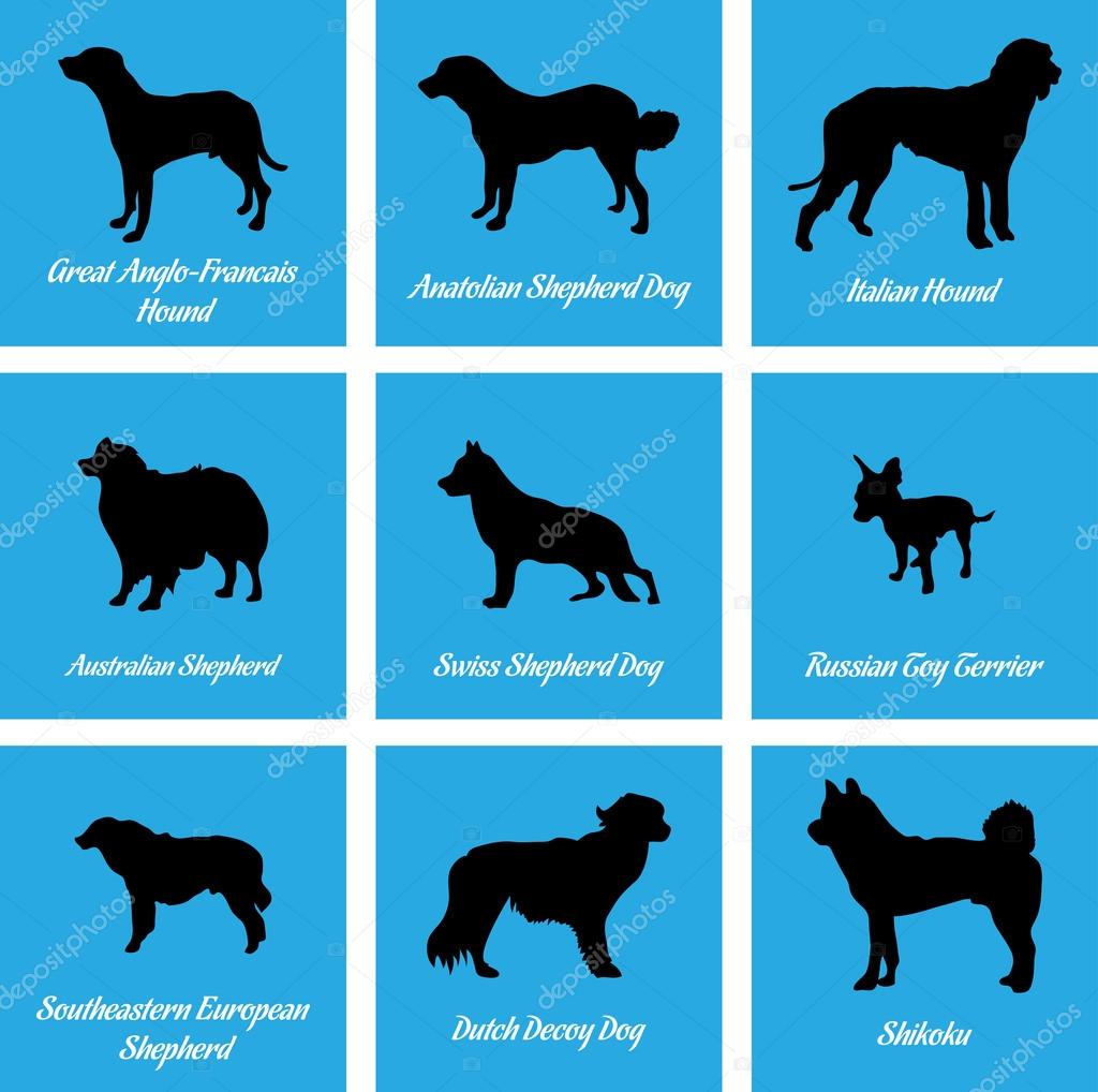 Iconos de perros Vector de stock #44287951 de ©kubanek