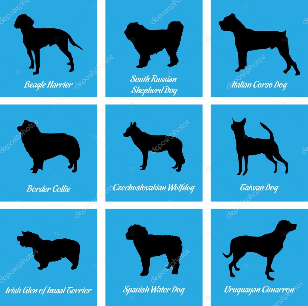 Dogs Icons Stock Vector Image by ©kubanek #44287993