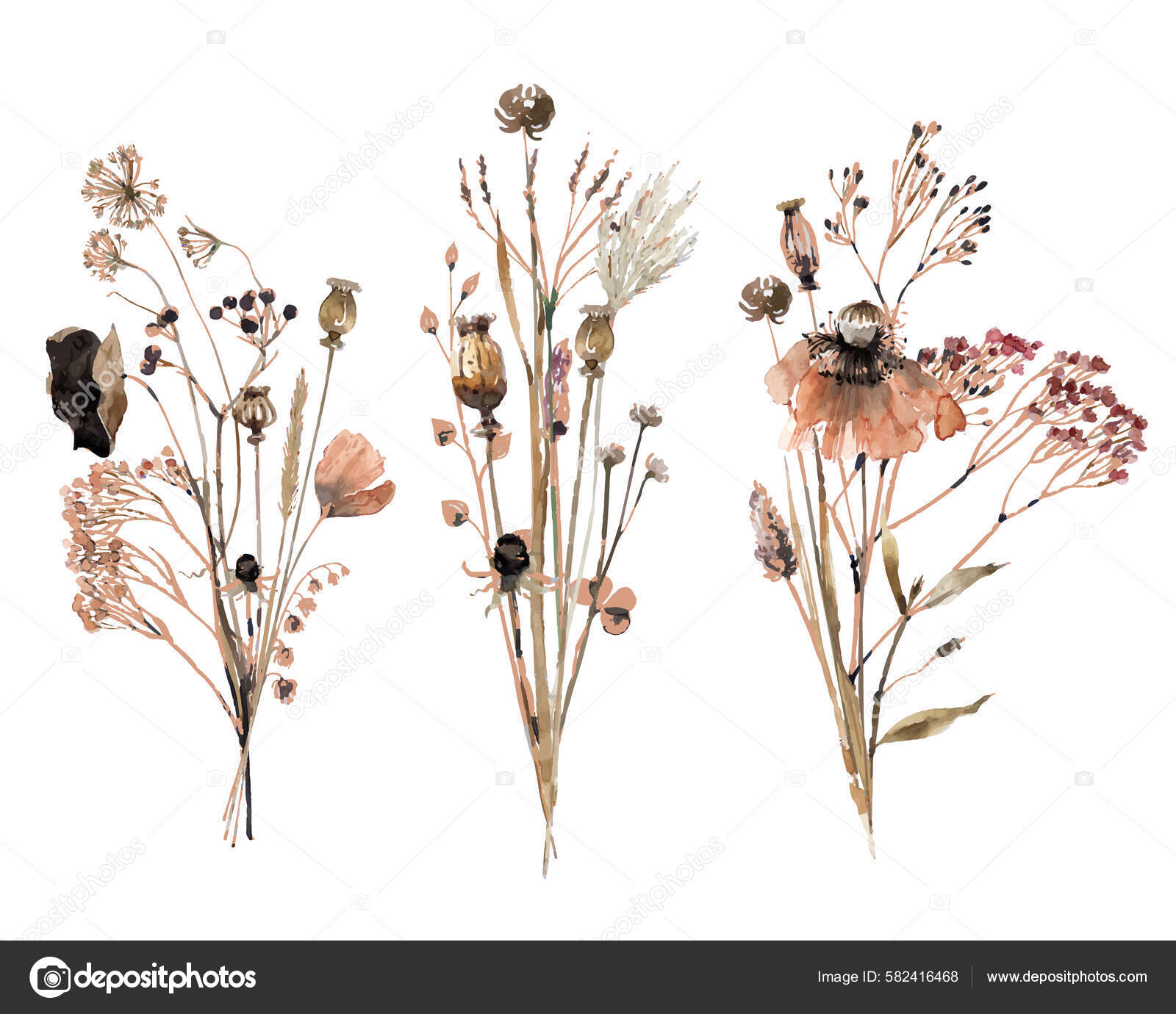 Acuarela Ilustración Hermosas Plantas Secas Vector de stock por ...