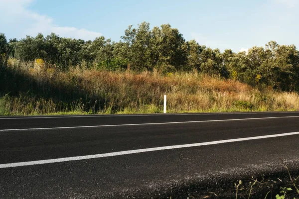 Roadkill on highway Stock Photos, Royalty Free Roadkill on highway ...