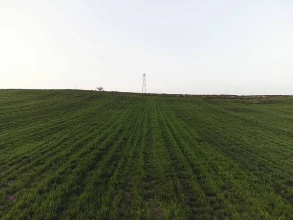 Kuwait farm Stock Photos, Royalty Free Kuwait farm Images | Depositphotos