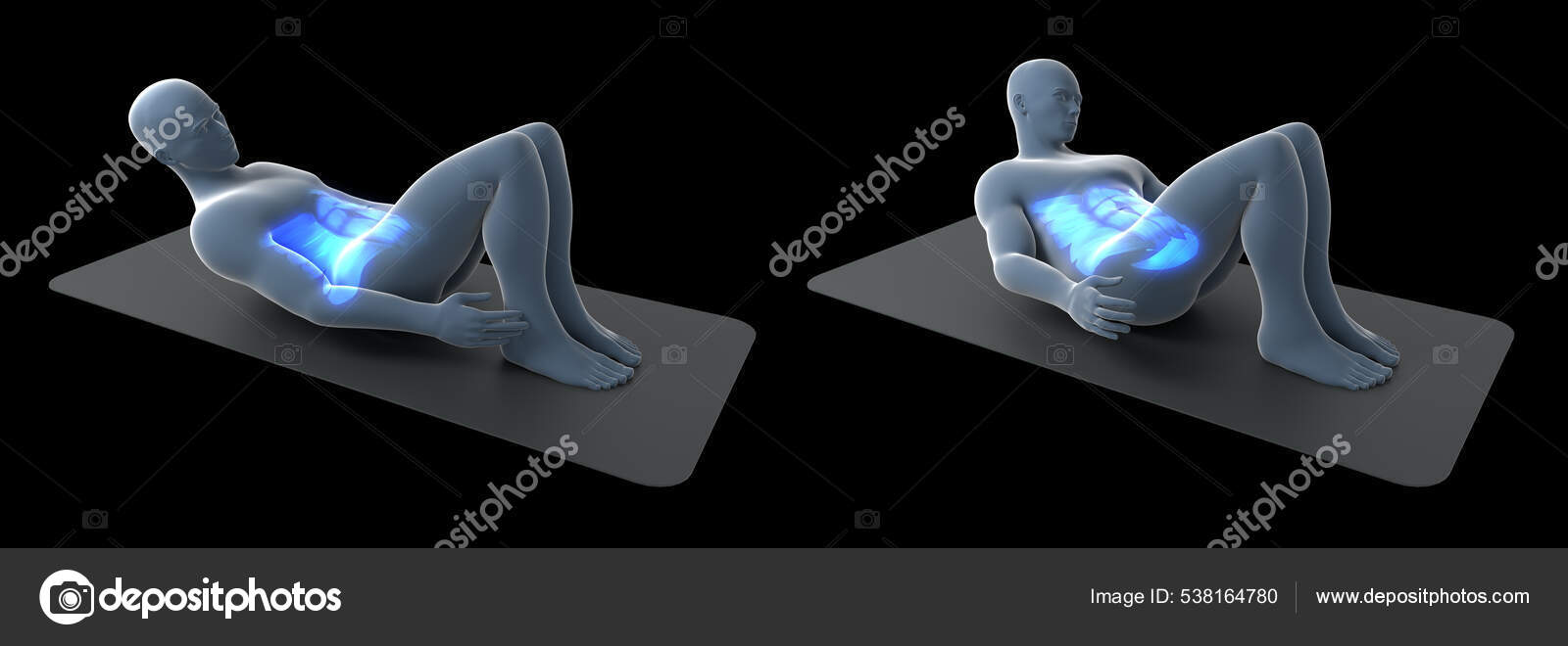 Illustration Shows Xray Man Performing Crunch Ankle Touch Workout Black ...