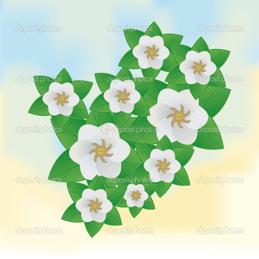 Ilustración de flores con estilo aislado en el fondo Vector de stock ...