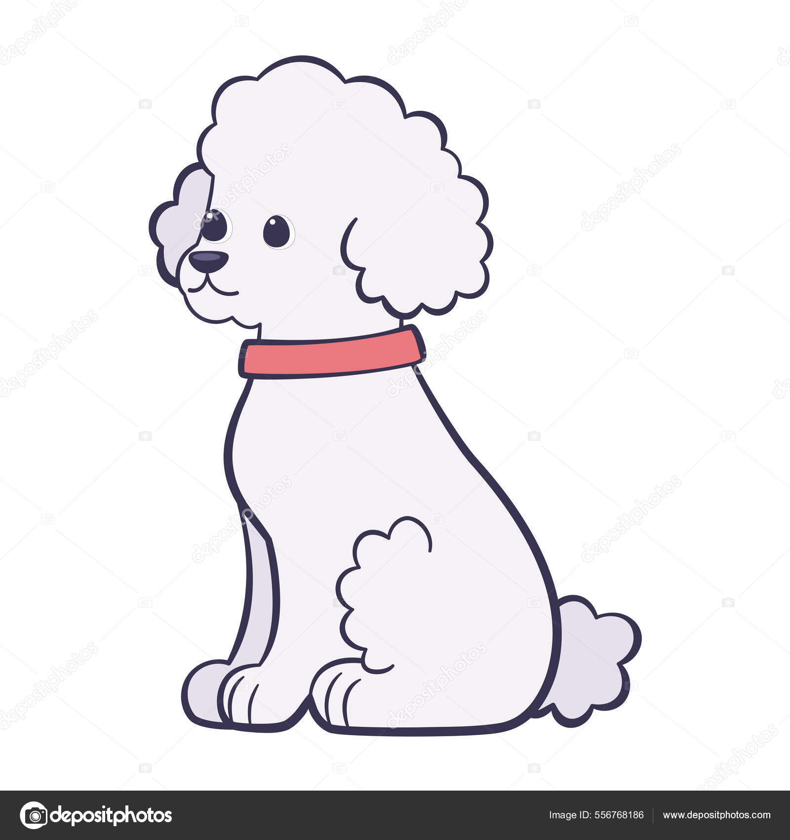 French Poodle Illustration