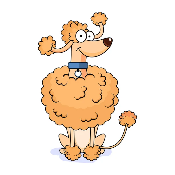 Pudl kreslený Stock vektory, Royalty Free Pudl kreslený Ilustrace ...