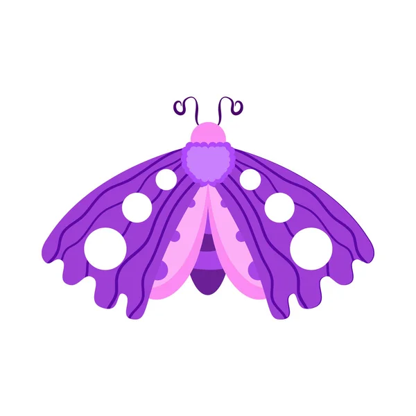 Purple Cartoon Butterfly