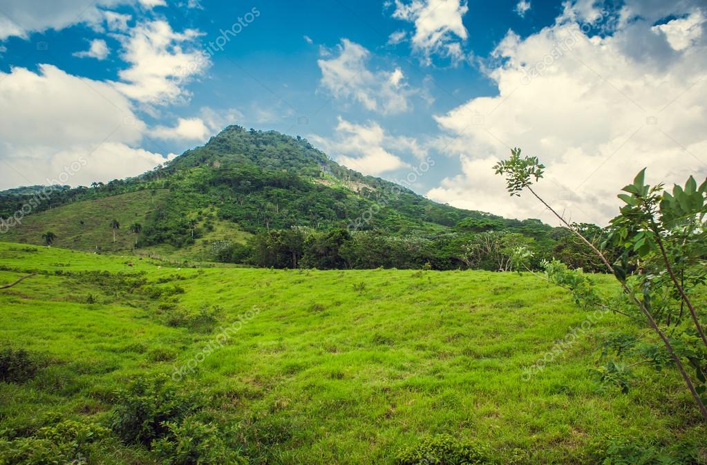 Montaña de selva tropical en República Dominicana — Foto de stock © AZZ ...