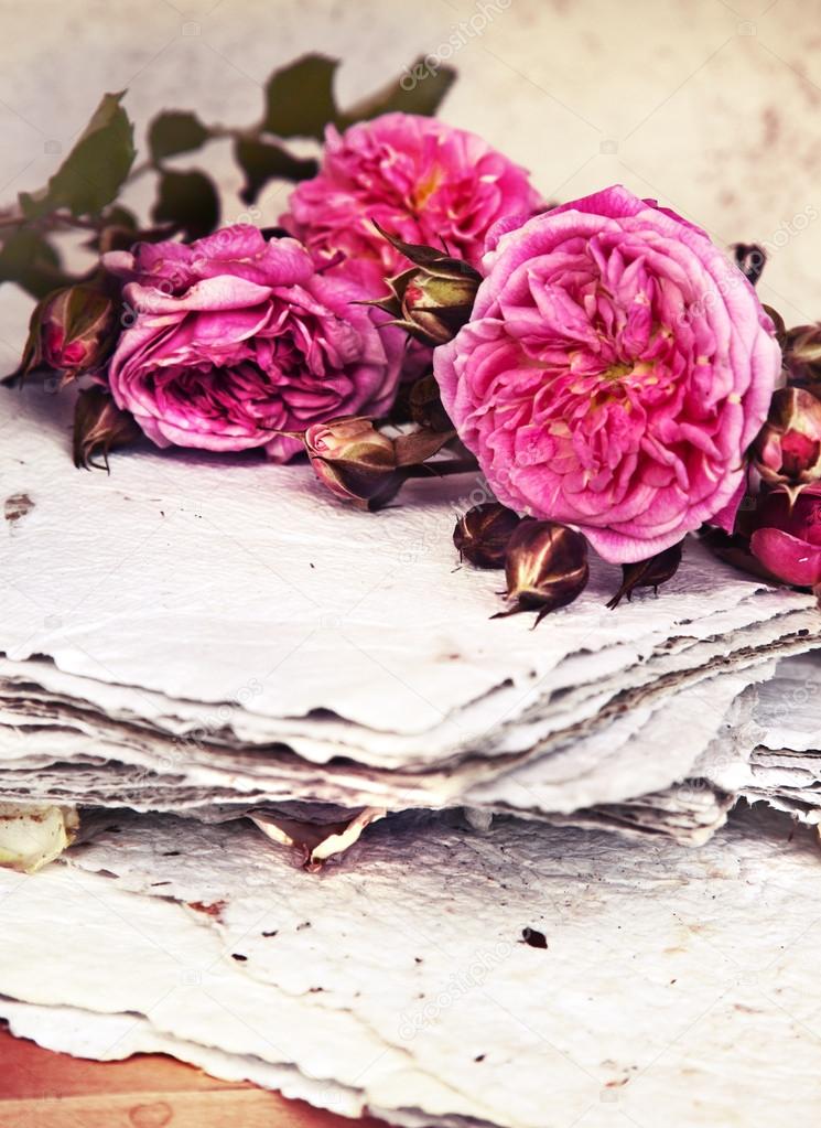 Pink roses, petals and handmade paper Stock Photo by ©artnature 46090907