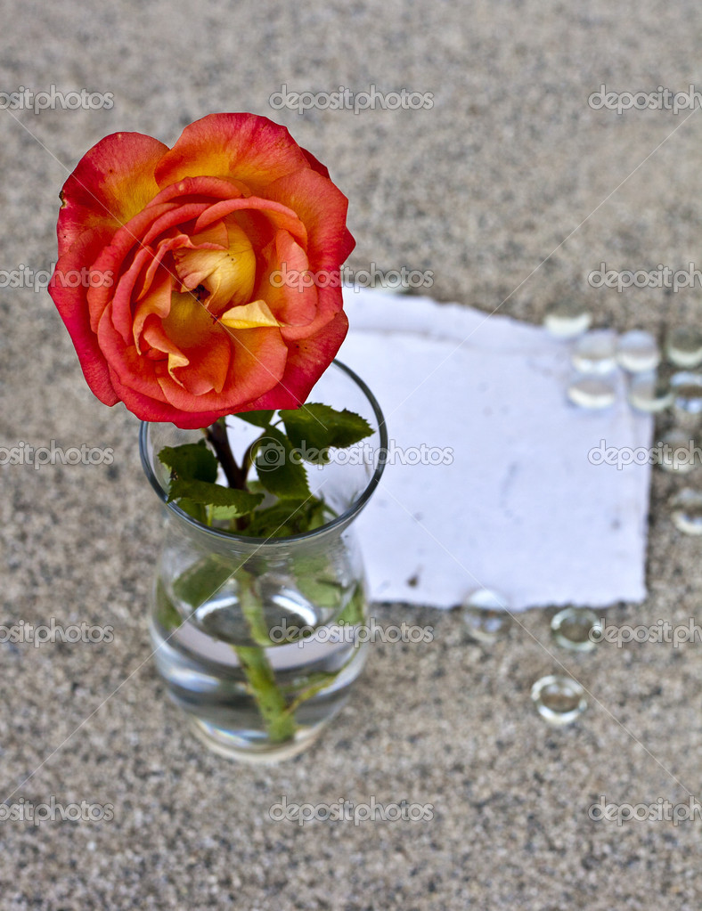 Red rose in glass vase Stock Photo by ©artnature 51356639