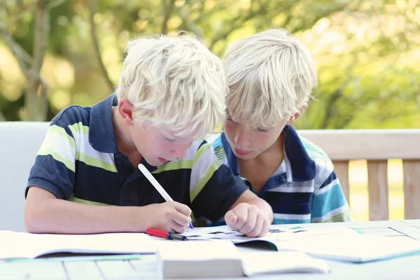 Twin brothers doing together homework Stock Photo by ©CroMary 42673787
