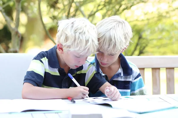 Brothers doing homework Stock Photos, Royalty Free Brothers doing ...