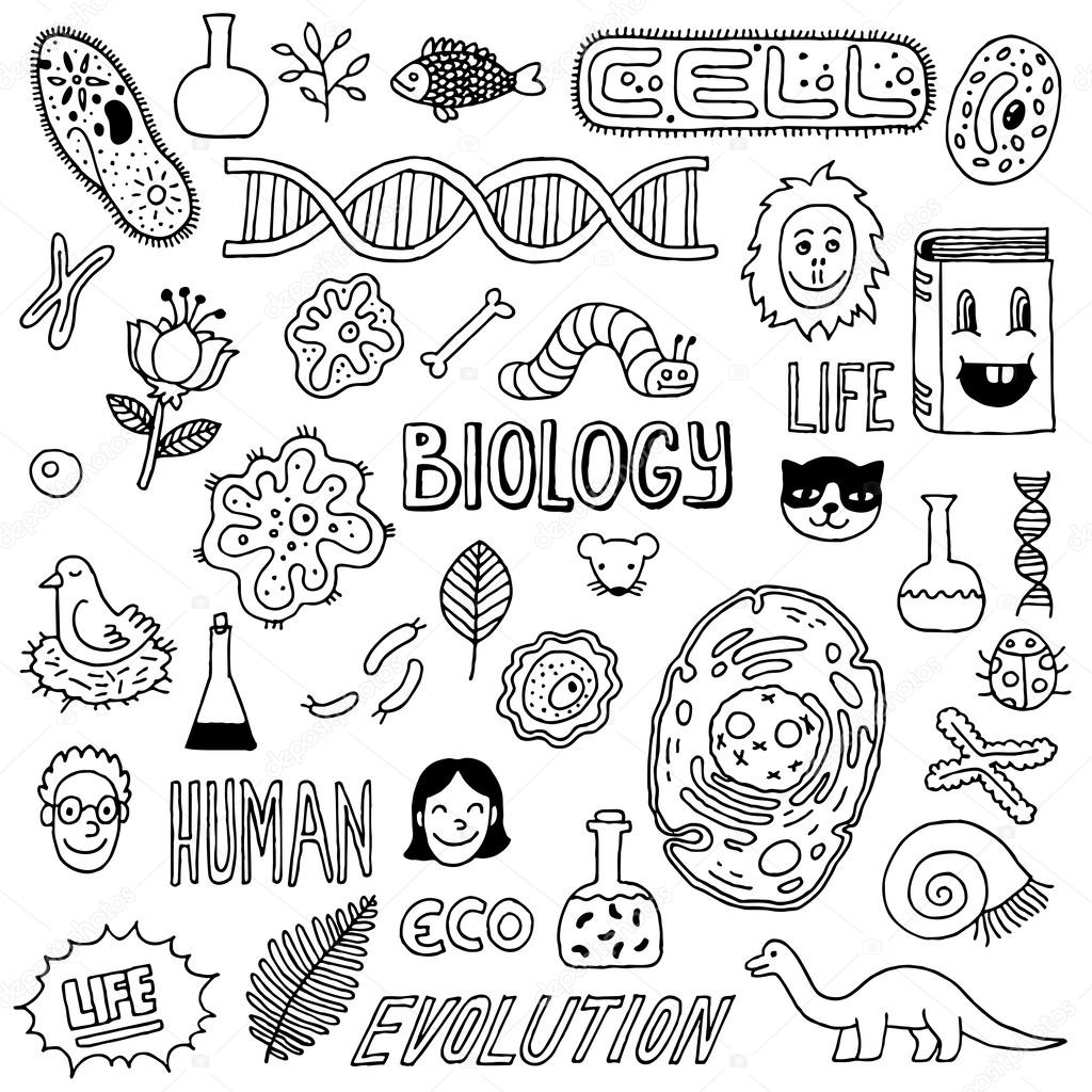 Biology doodles Stock Vector by ©Sashatigar 51488045 Biology doodles Stock Vector by ©Sashatigar 51488045