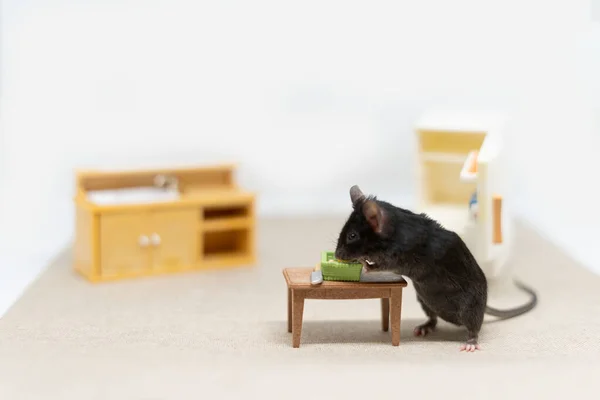 Mice by bins Stock Photos, Royalty Free Mice by bins Images | Depositphotos