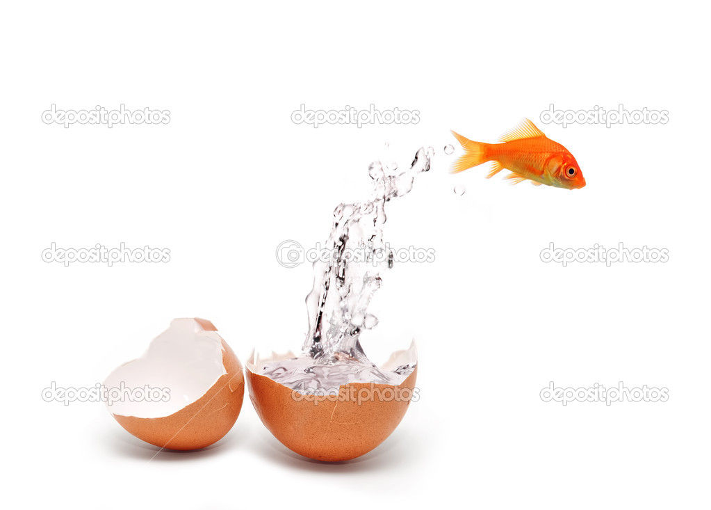 Fish and egg Stock Photo by ©likstudio 43635095