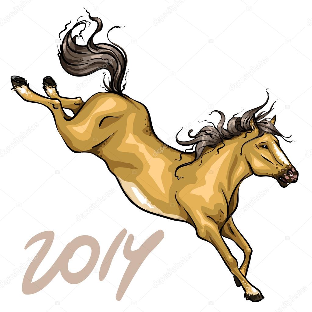 Horses Rearing Up And Bucking