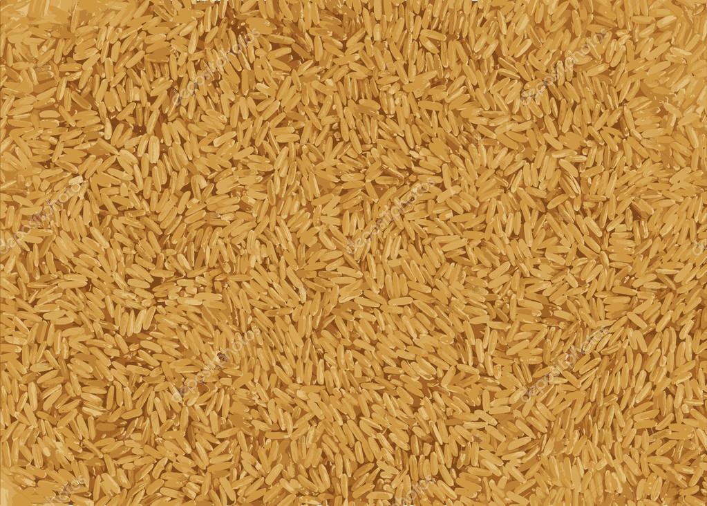 Brown Rice Stock Vector Image by ©BigAlBaloo #51781847