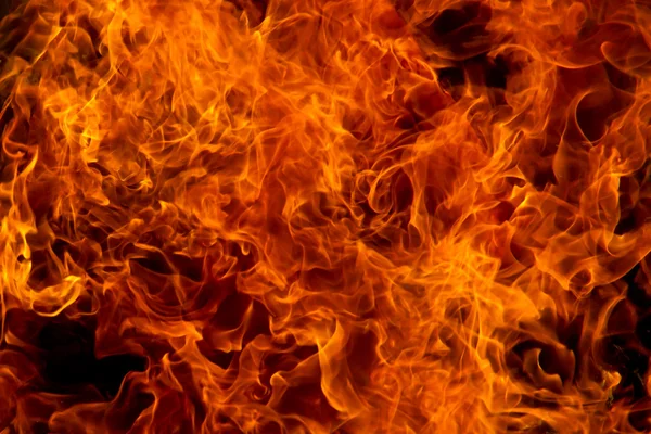 The bright fire - Stock Image - Everypixel